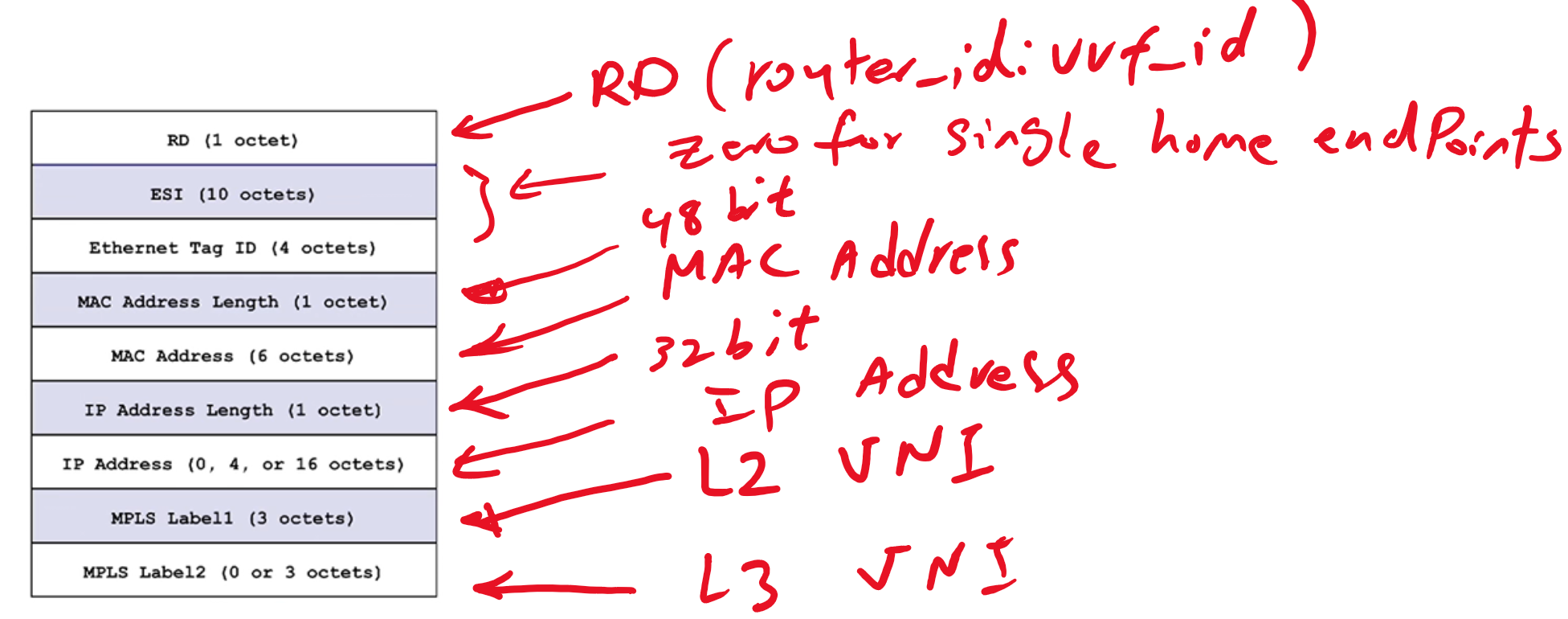 3 VXLAN EVPN Control Plane Route Type 2 RAYKA 3 VXLAN EVPN Control Plane Route Type 2 RAYKA