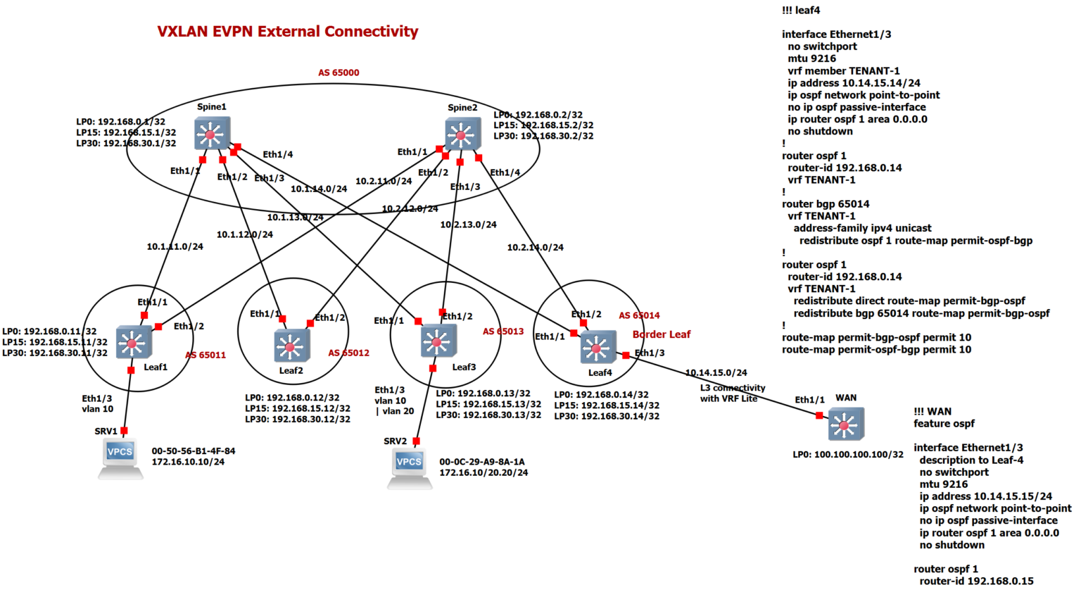 12. VXLAN BGP EVPN External Connectivity - RAYKA (are you a network ...